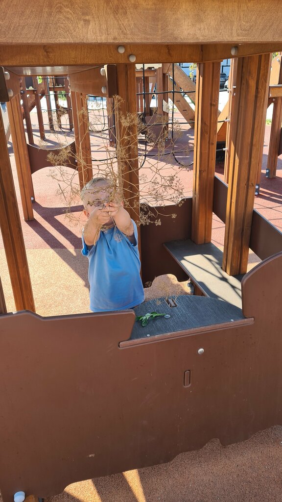 Oyun alanı Playground, Krasnodarski krayı, foto