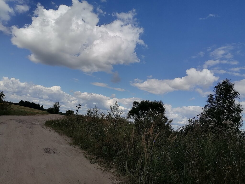 Sanayi kuruluşu Агропромышленный холдинг Мираторг, Brianskaya oblastı, foto