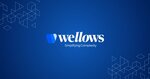 Wellows (600, Dubai - Al Ain Road, Dubai), yazılım firmaları