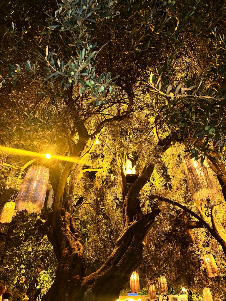 Restoran Ehlikeyf Meyhane Kaş, Kaş, foto