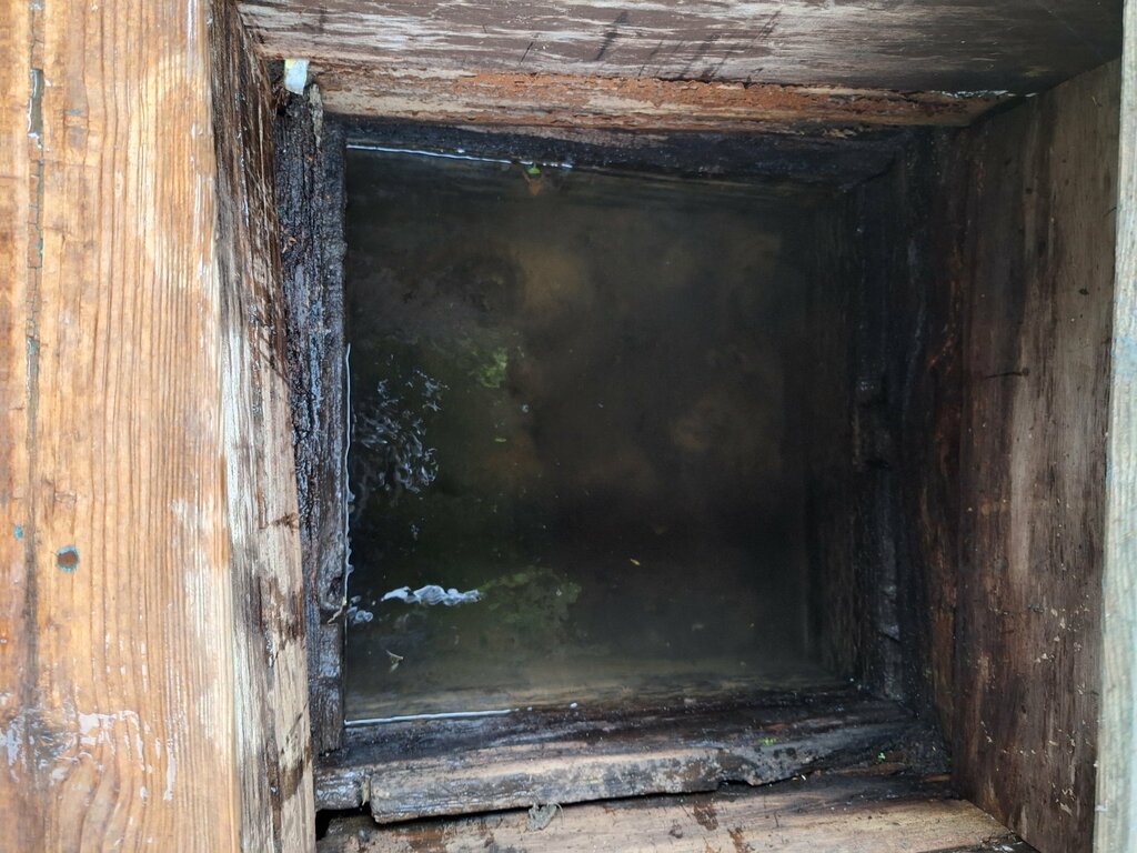 Pınar, çay Spring, stream, Penzenskaya oblastı, foto