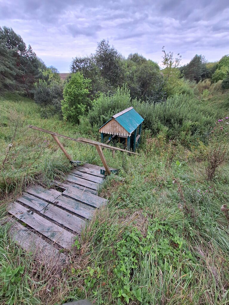 Pınar, çay Spring, stream, Penzenskaya oblastı, foto
