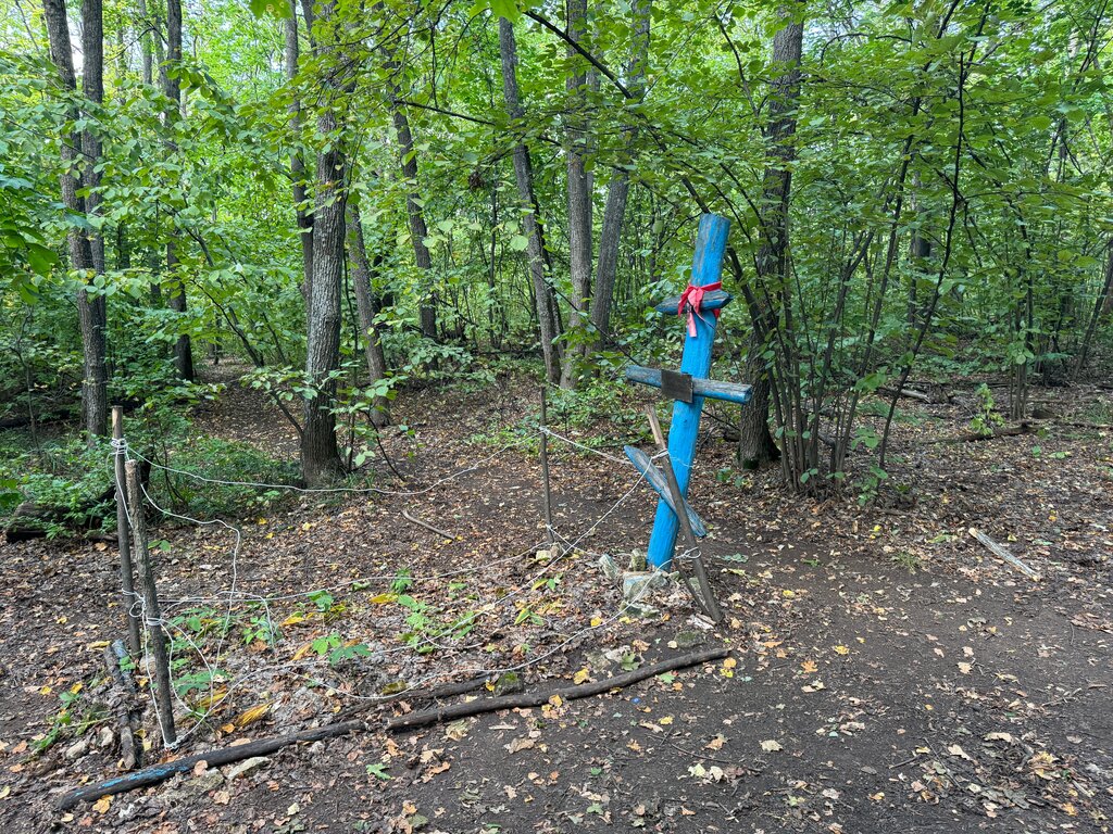 Ünlü kişilerin mezarları Могила пионера Александра Царева, Samara, foto