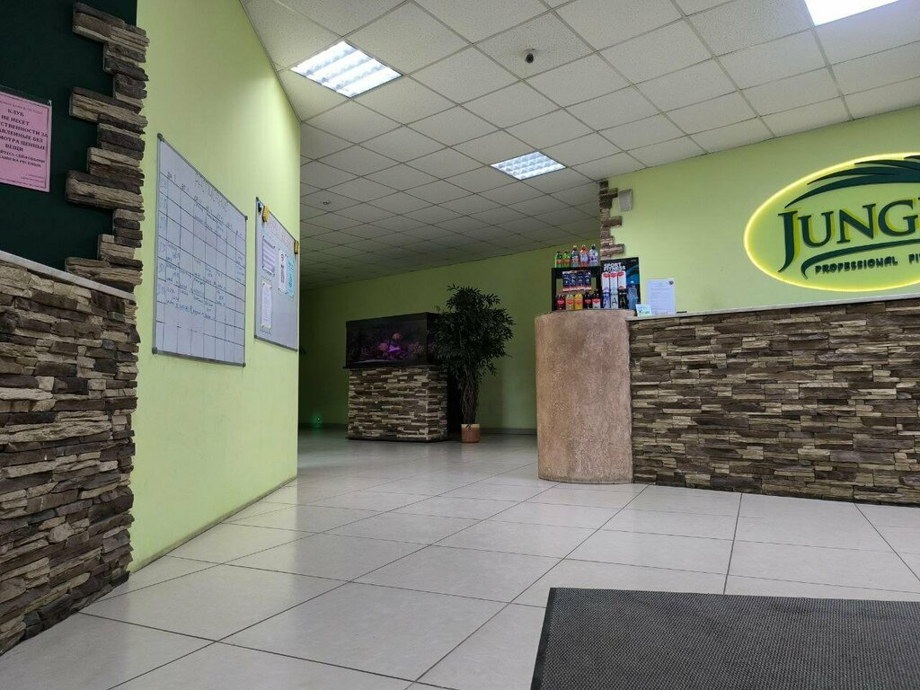 Dans okulları MasterDvizh, Moskova, foto