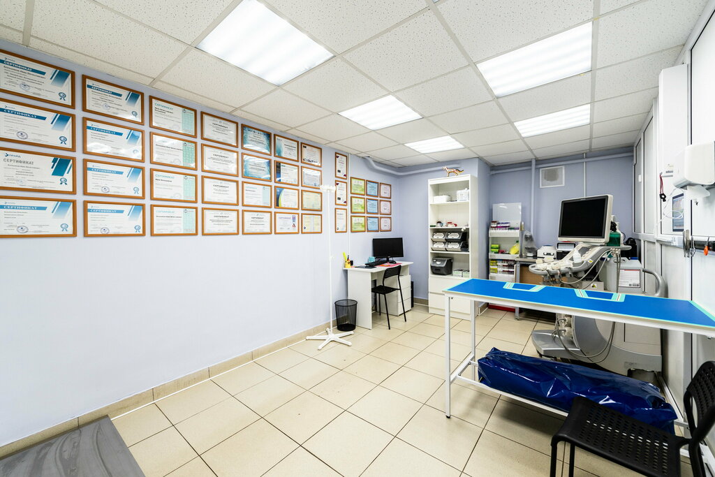 Veteriner klinikleri Bolshakov ONKOVet, Saransk, foto