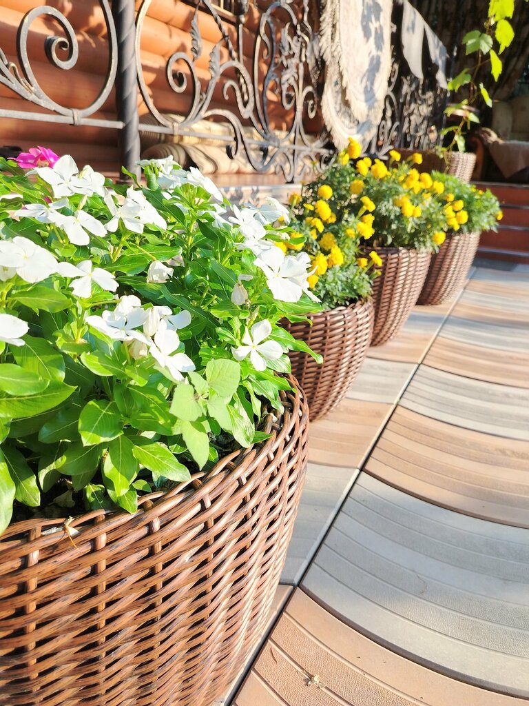 Otel U Iriny Hotel, Pitsunda, foto