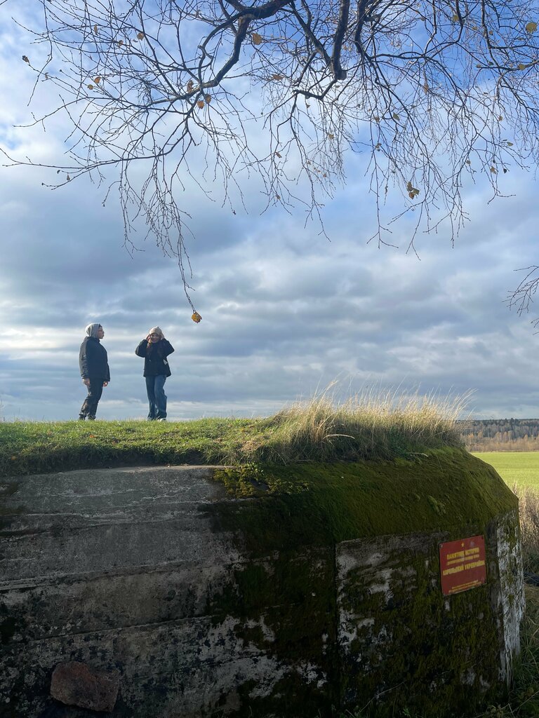 Turistik yerler Долговременная огневая точка № 447 КаУР, Saint‑Petersburg ve Leningradskaya oblastı, foto