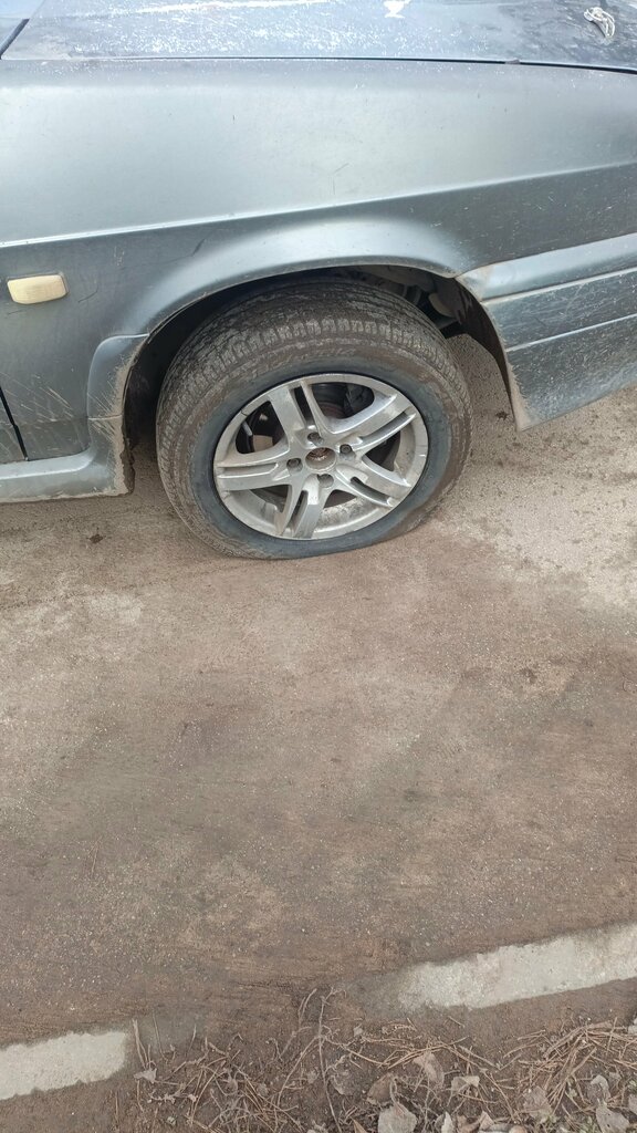 Oto lastik tamiri Шиномонтаж, Kinel, foto