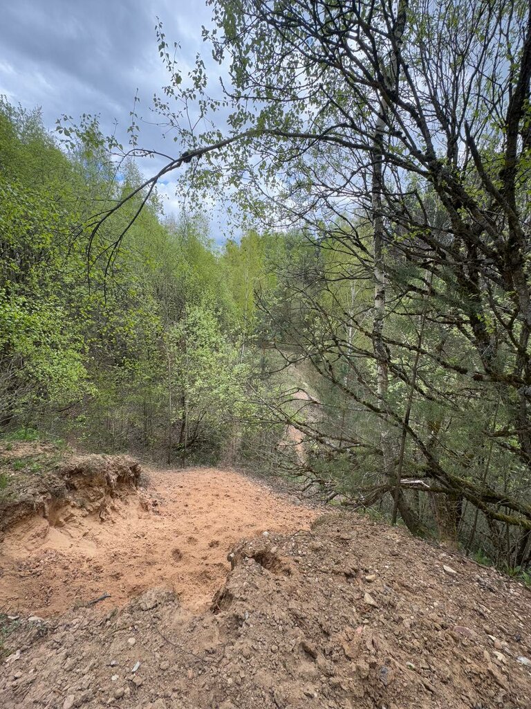 Dağ zirvesi Гора Тур, Minskaya oblastı, foto