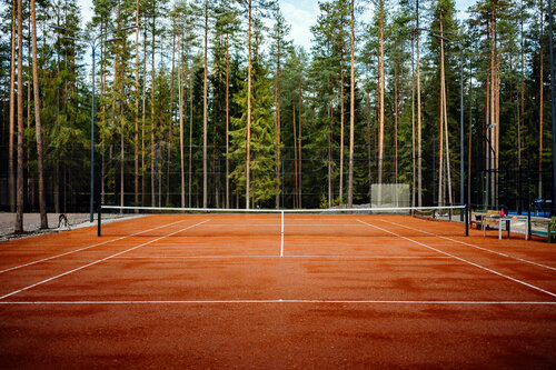 Çok amaçlı spor tesisleri Лесной олень, Saint‑Petersburg ve Leningradskaya oblastı, foto
