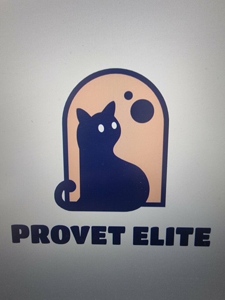 Veteriner klinikleri Provetelite, Taşkent eyaleti, foto