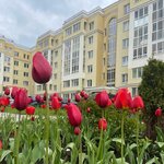 ZhK Tsentralny Ofis prodazh (Moscow Region, Odintsovskiy Urban District, Zvenigorod, Pochtovaya ulitsa), konut blokları  Zvenigorod'dan