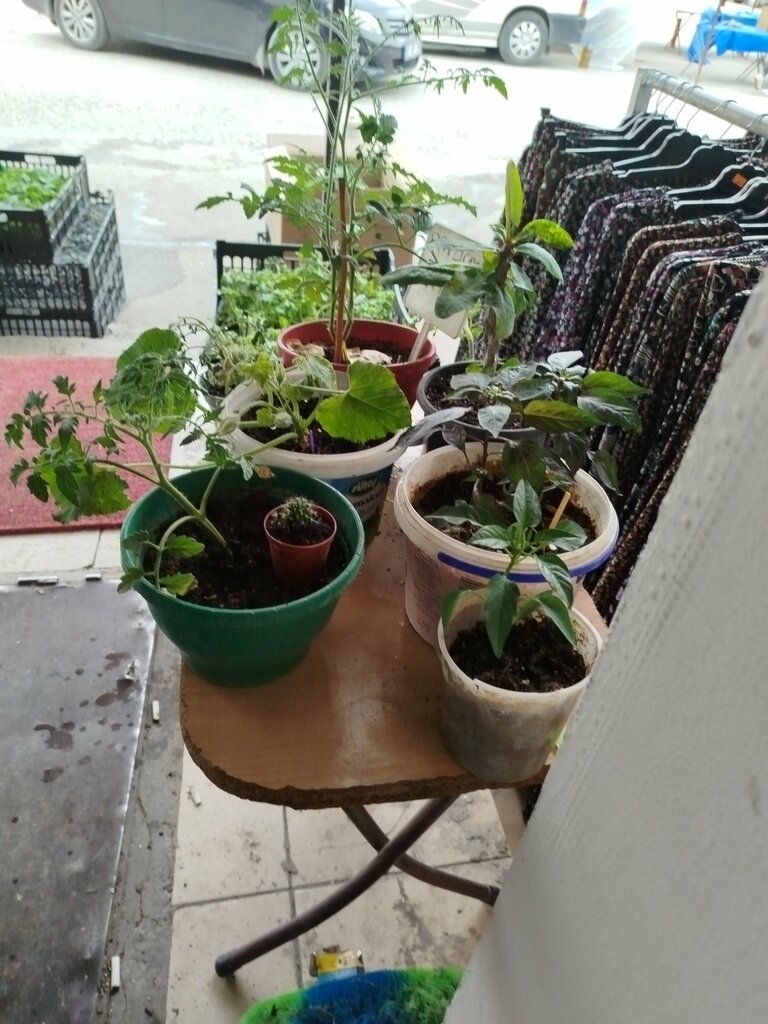 Tarım ürünleri firmaları Yaprak Tarım, Burdur, foto