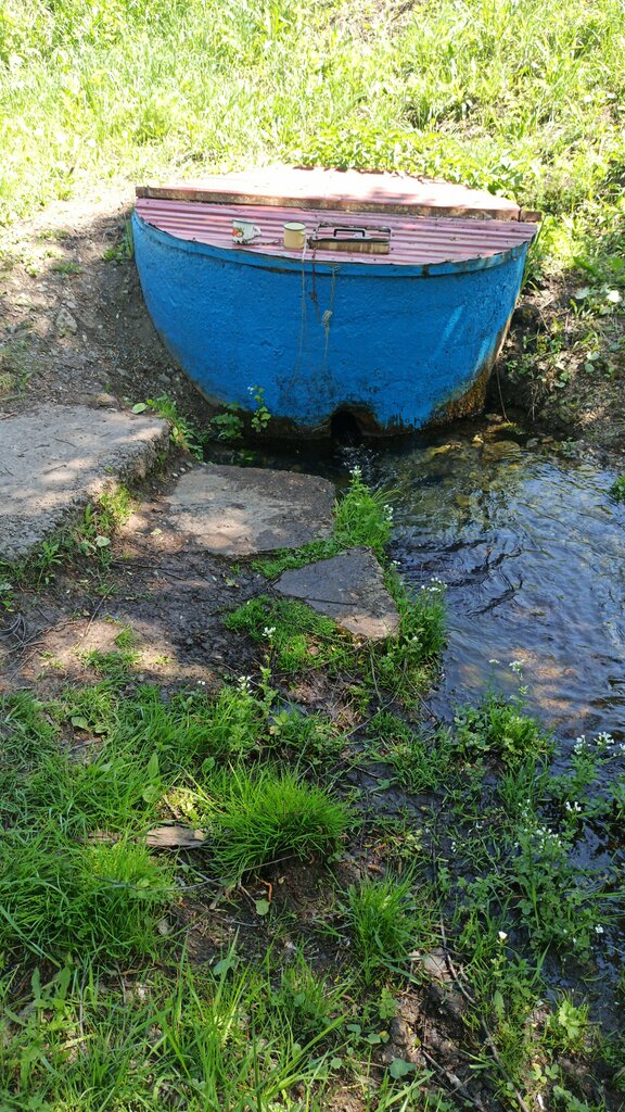 Pınar, çay родник Студёный, Orenburgskaya oblastı, foto