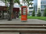 Уличная библиотека (Republic of Bashkortostan, gorodskoy okrug Ufa, Kirovskiy District, S.T. Aksakov public garden of culture and recreation), gezgin kitap  Ufa'dan