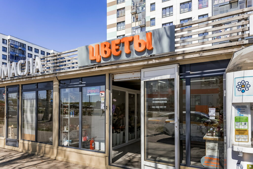 Çiçekçiler Tanatsetum, Moskova ve Moskovskaya oblastı, foto