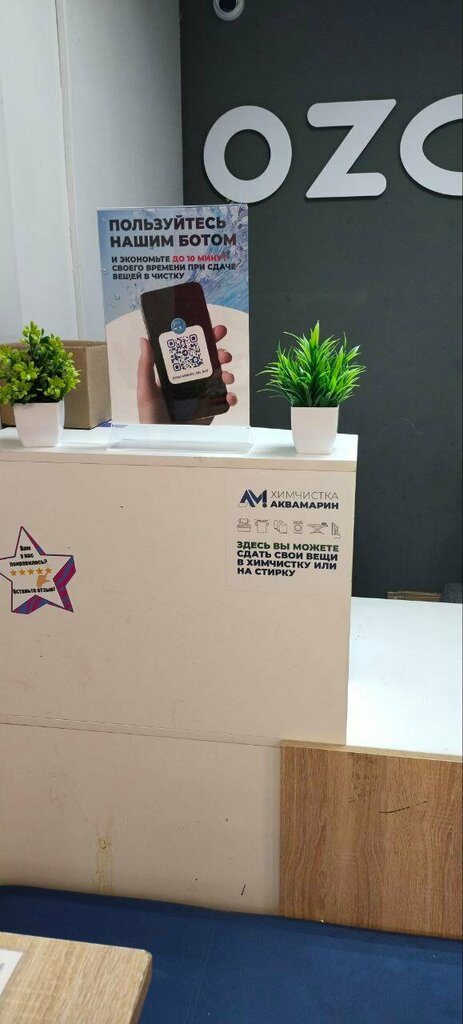 Kuru temizlemeciler Аквамарин, Nijegorodskaya oblastı, foto