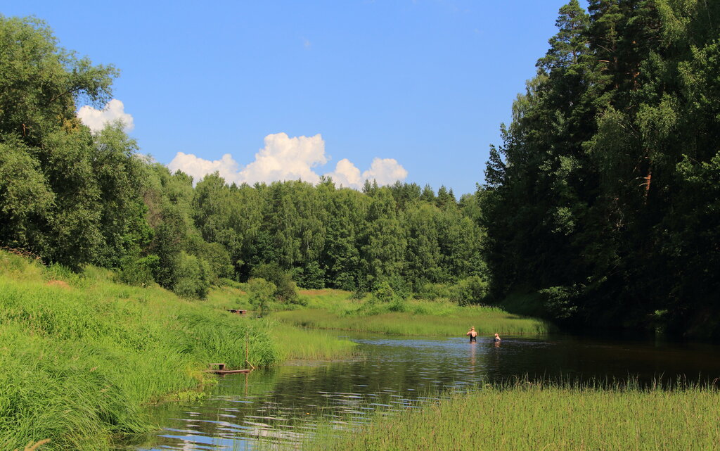 Plaj Пляж, Nijegorodskaya oblastı, foto