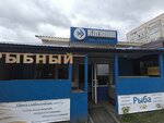Клевала (Internatsionalistov Boulevard No:17), balık ve deniz ürünleri  Petrozavodsk'tan