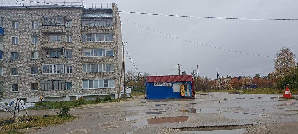 Market Алина, Komi, foto