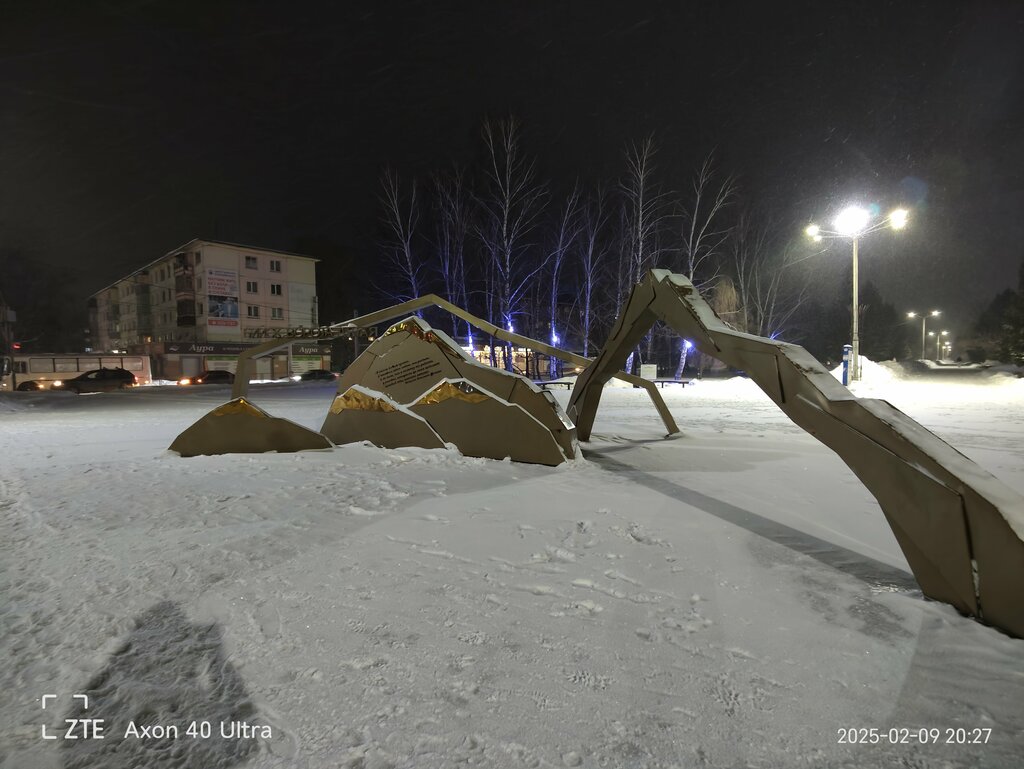 Park, sokak heykeli Бийск-ворота Алтая, Biysk, foto