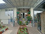 Flora Service (Tashkent Street No:14, Bishkek), çiçekçiler  Bişkek'ten