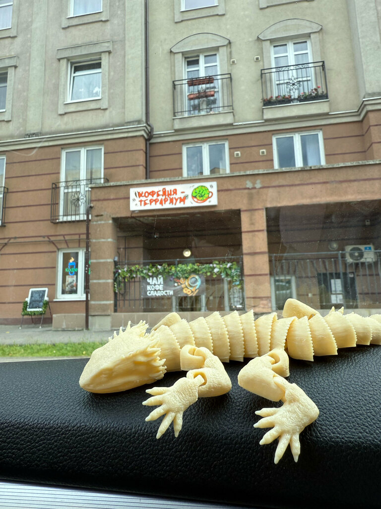 Kahve dükkanları Кофейня-террариум, Gusev, foto