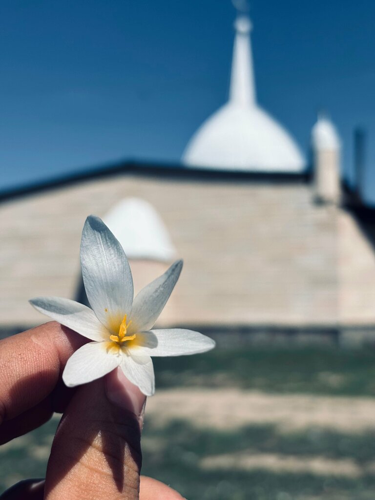 Cami Kerbulak District Central Mosque, Zhetysu ili, foto