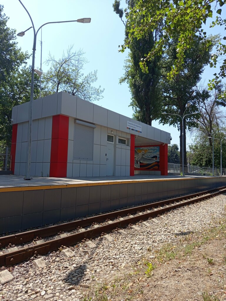 Yük istasyonu Станция имени Вити Черевичкина, Rostov‑na‑Donu, foto