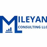 Mileyan Consulting (Movses Khorenatsi Street No:24), muhasebeciler  Vağarşapat'tan