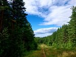 Лыжная база (Zyryanovskaya ulitsa No:10А/1), kayak merkezleri  Alapayevsk'ten