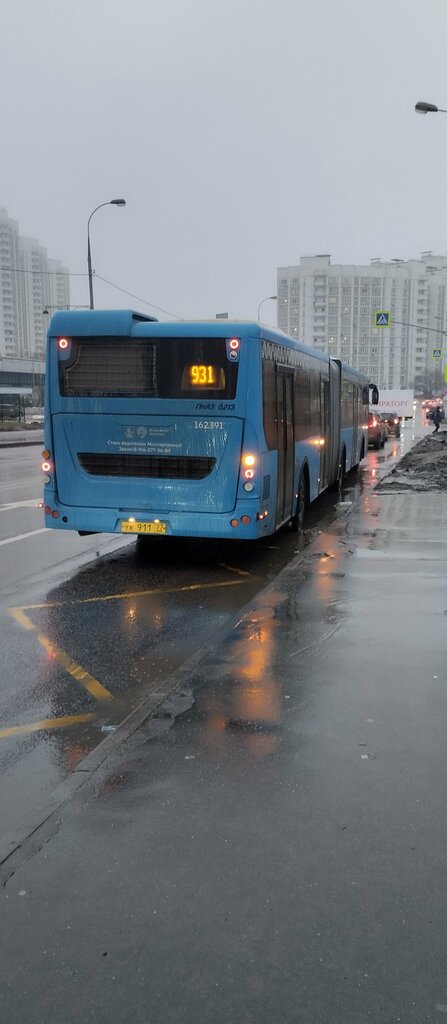 Toplu taşıma durağı Metro Bulvar Admirala Ushakova, Moskova, foto