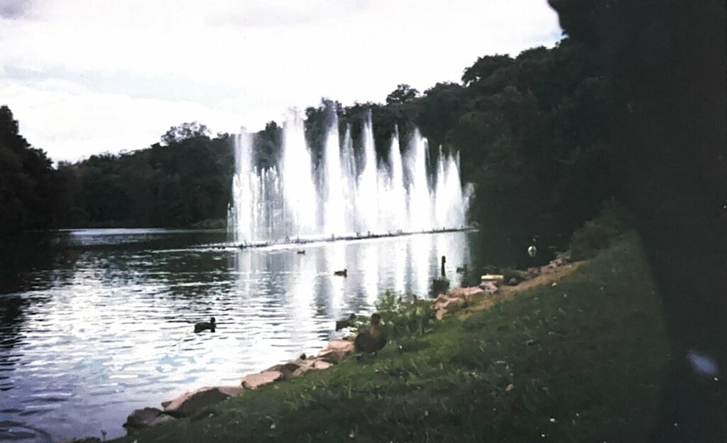 Kültür ve eğlence parkları Deutsch-Französischer Garten, Saarland, foto