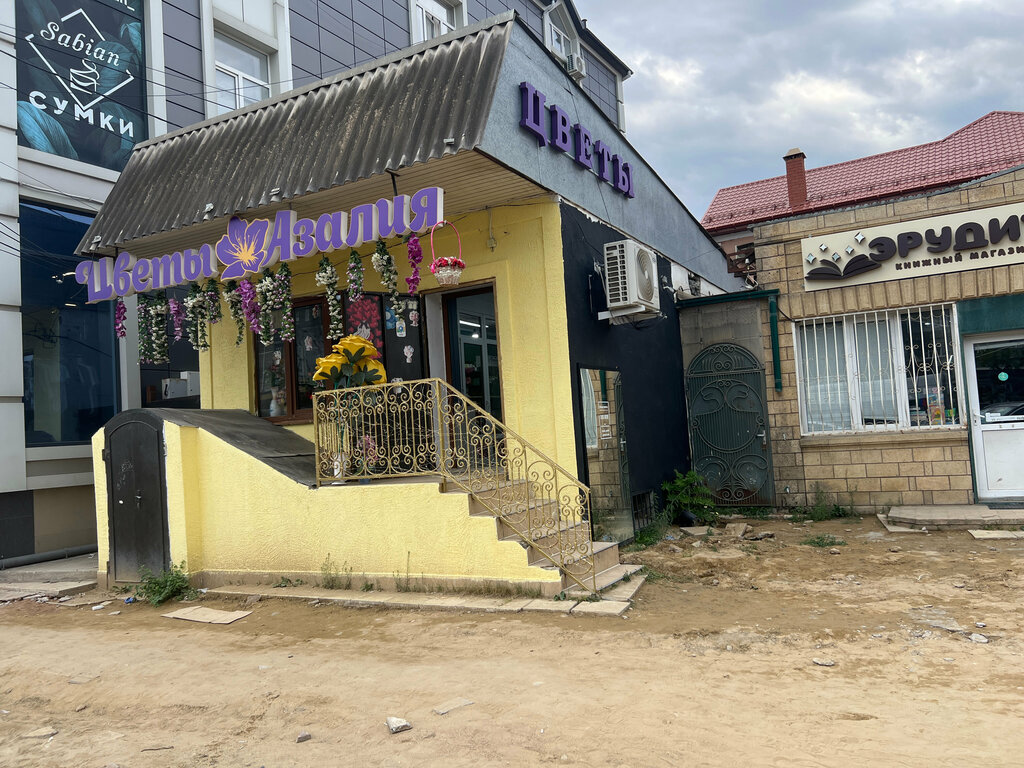 Çiçekçiler Цветы Азалия, Derbent, foto