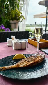 «Сенкевич» фото 1