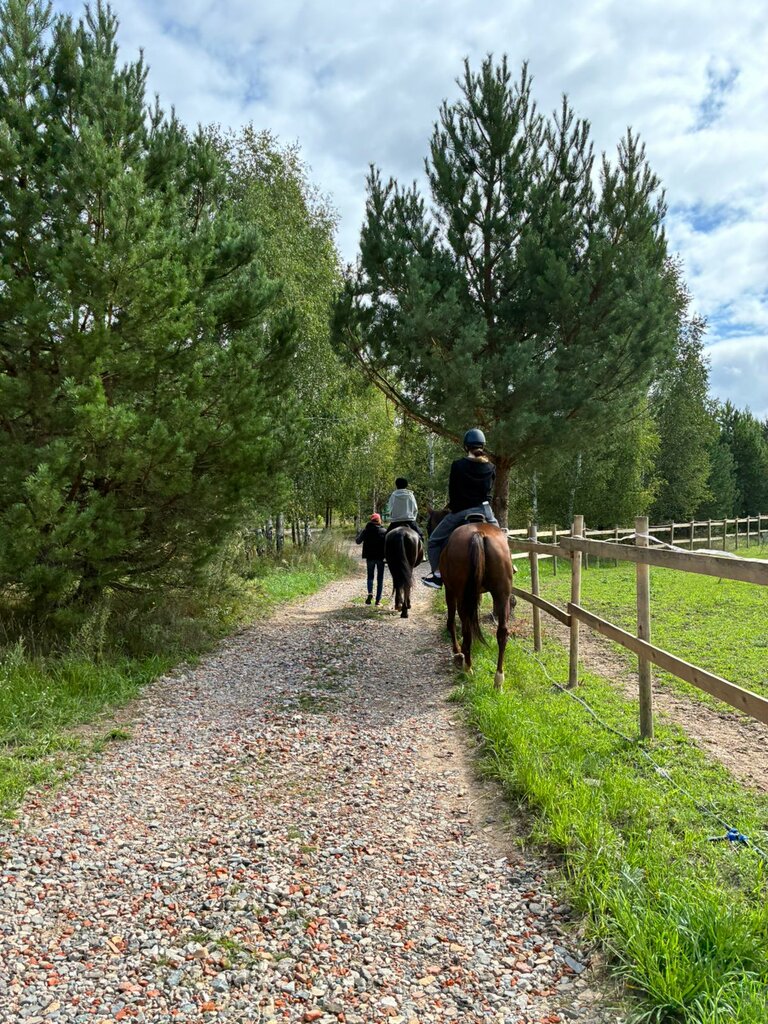 At ve binicilik kulüpleri КСК Гран'при, Tataristan, foto