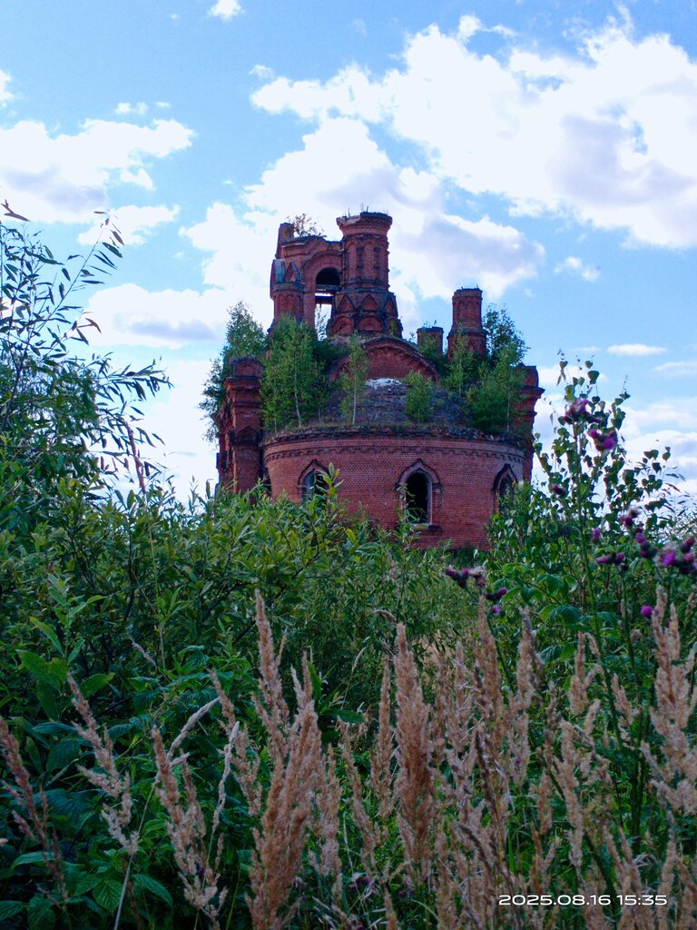 Kamp alanları Богатырская Застава у Бурушки, Vladimirskaya oblastı, foto