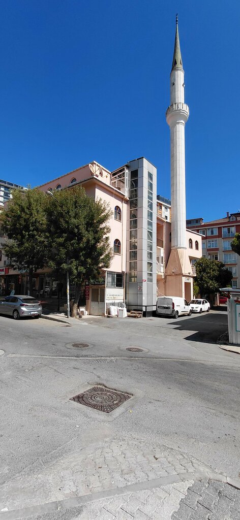 Cami Yavuz Selim Cami, İstanbul, foto