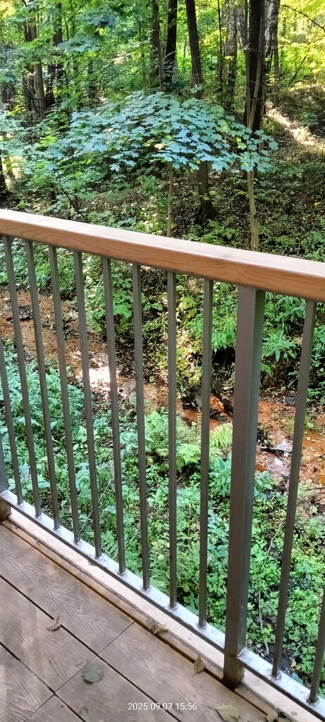 Pınar, çay Spring, stream, Moskova ve Moskovskaya oblastı, foto