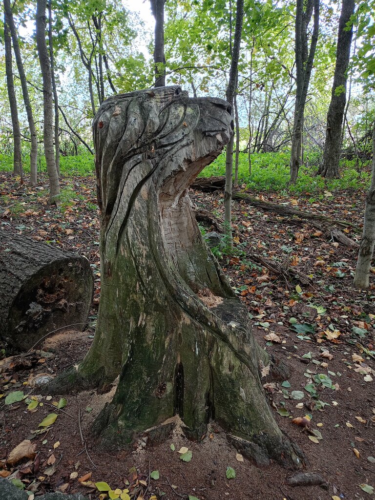 Park, sokak heykeli Трон дракон, Saint‑Petersburg ve Leningradskaya oblastı, foto