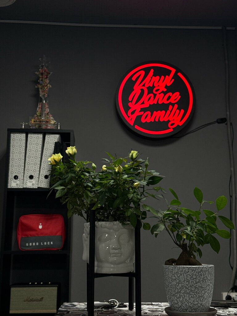 Dans okulları Vinyl Dance Family, Moskova, foto