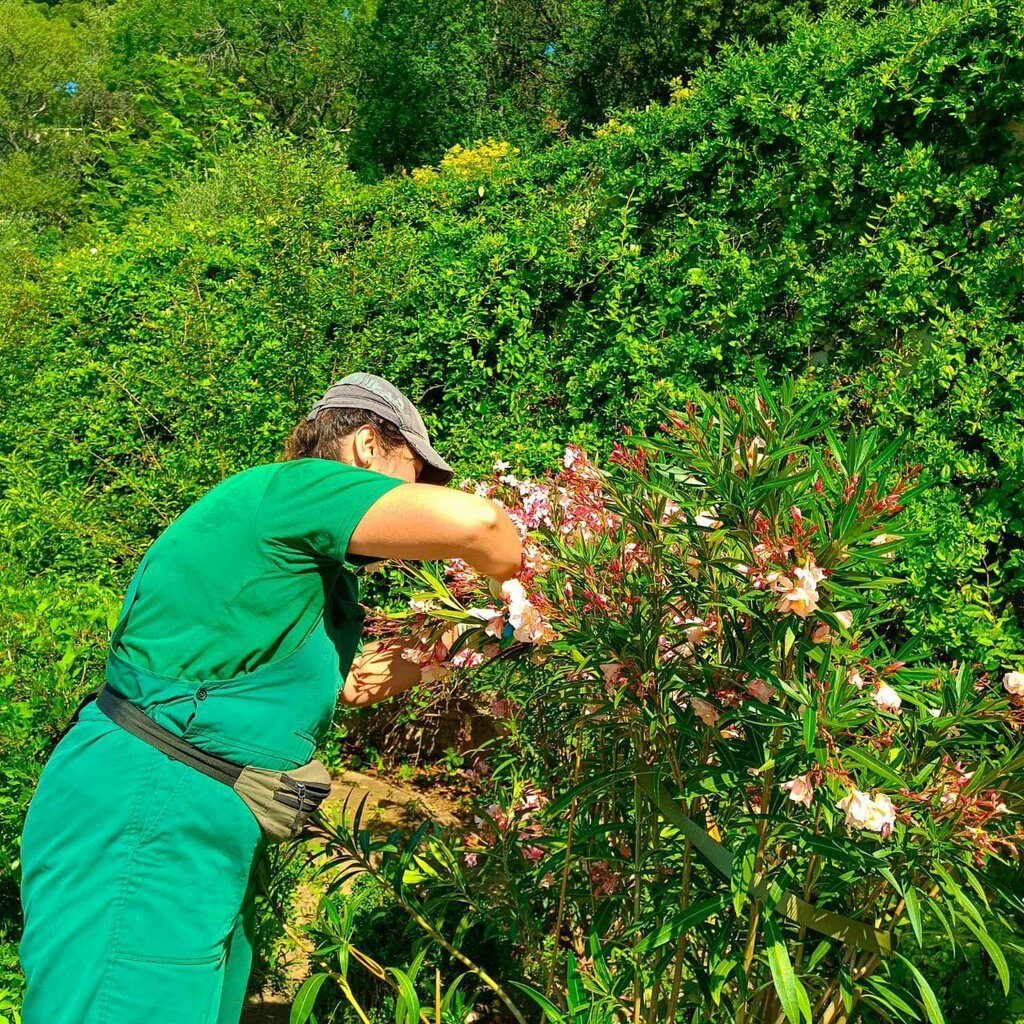 Peyzaj tasarımı Eco Terra, Yalta, foto