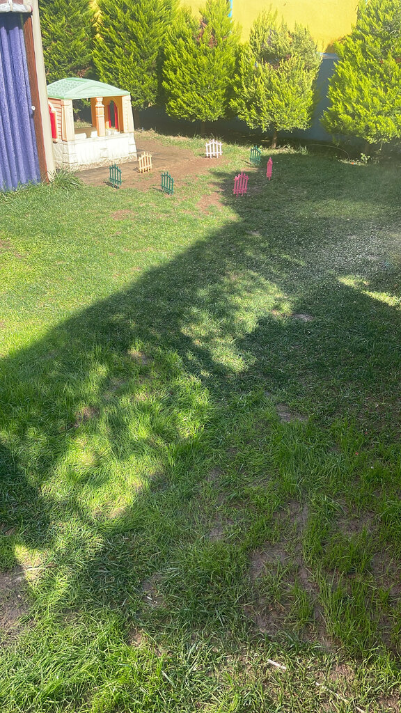 Anaokulları Mavi Penguen Anaokulu, İstanbul, foto