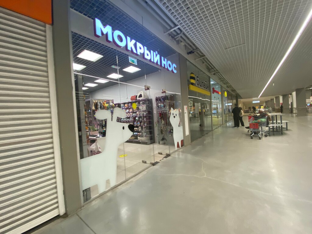 Para transferleri Золотая корона, Moskova ve Moskovskaya oblastı, foto
