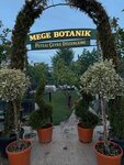MegeBotanik (Ankara, Gölbaşı, Kızılcaşar Mah., Turgut Özal Blv., 58), hobi, elişi için ürünler  Ankara'dan
