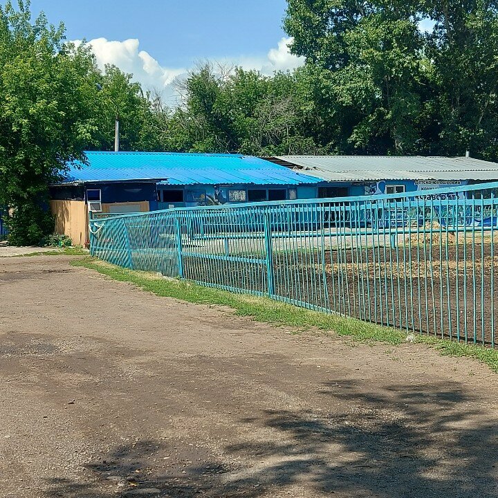 At ve binicilik kulüpleri Favorit, Detsko-Yunoshesky konny tsentr, Novokuznetsk, foto