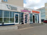Lupine (No:15, 38th Complex), çiçekçiler  Naberejniye Çelny'den (Yar Çallı'dan)