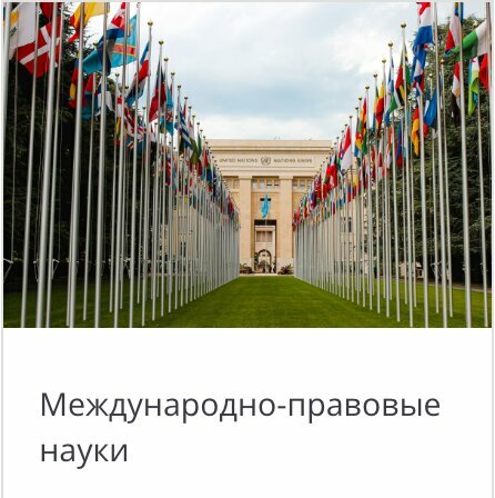 Üniversiteler Stolypin International Institute of Informatization and Public Administration, Moskova, foto