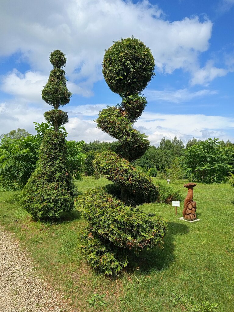 Kültür ve eğlence parkları Дендропарк, Vitebskaya oblastı, foto
