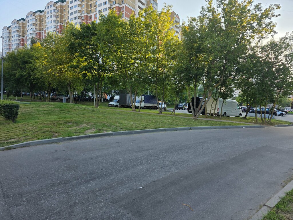 Çöp alanları Trash and garbage disposal area, Moskova, foto
